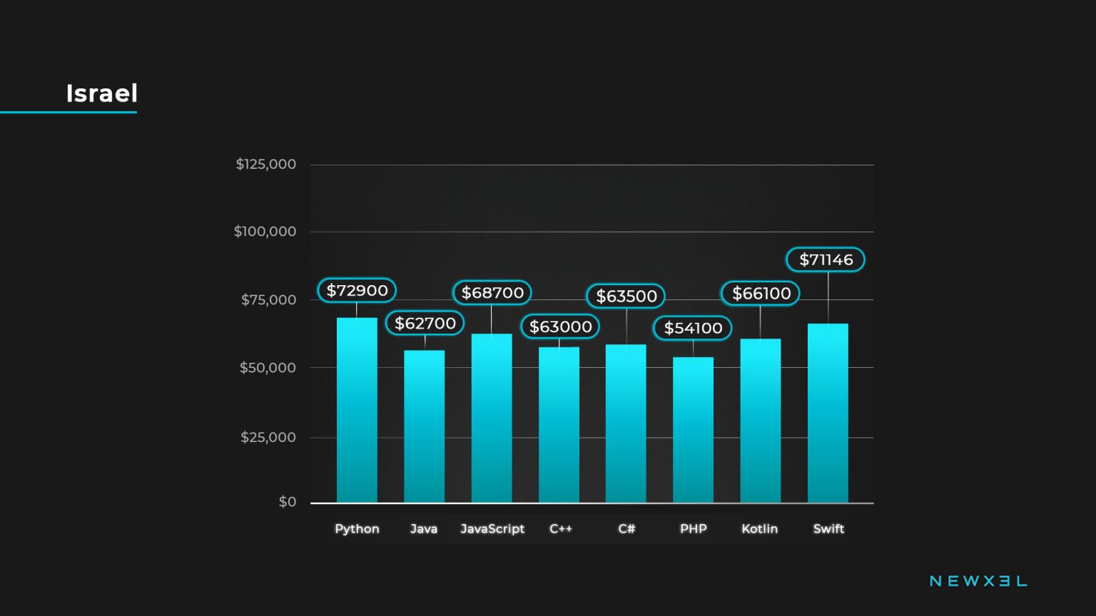 How Much Do Developers Earn Worldwide | Newxel
