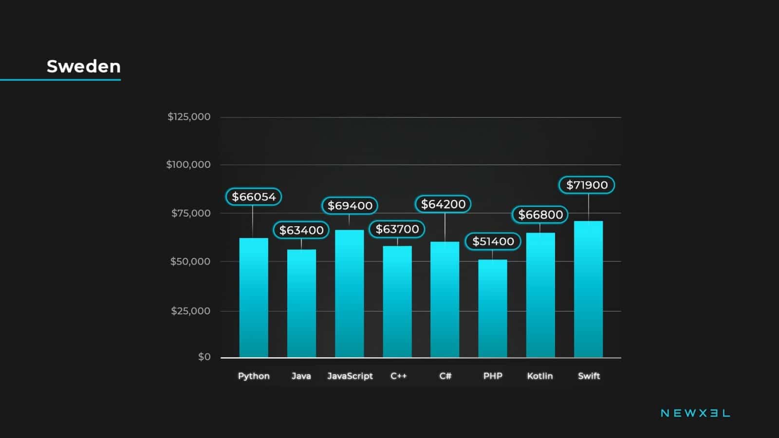 How Much Do Developers Earn Worldwide | Newxel