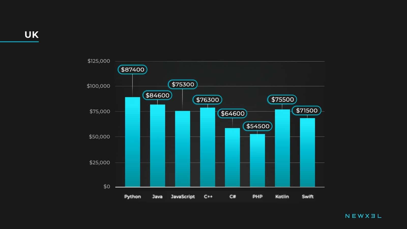 How Much Do Developers Earn Worldwide | Newxel