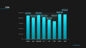 How Much Do Developers Earn Worldwide | Newxel