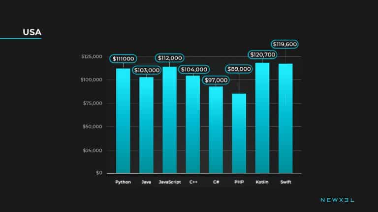 How Much Do Developers Earn Worldwide | Newxel
