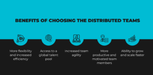 Distributed Software Development: A Guide for Business Owners | Newxel